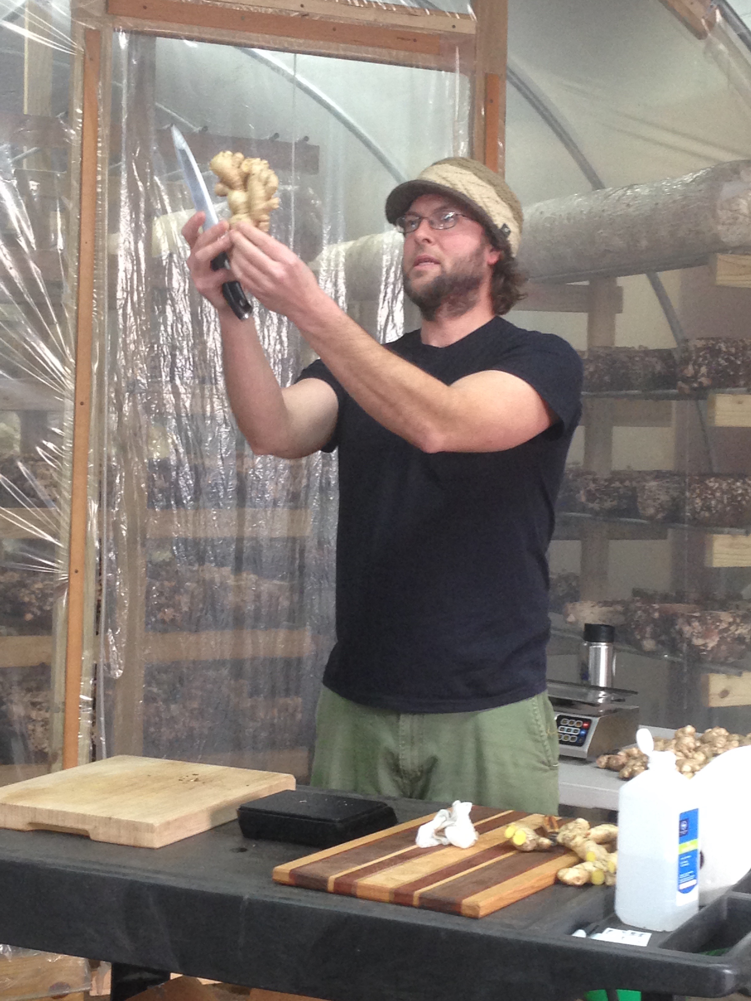 Learning to Grow Ginger in Central Ohio | Over the Fence Urban Farm