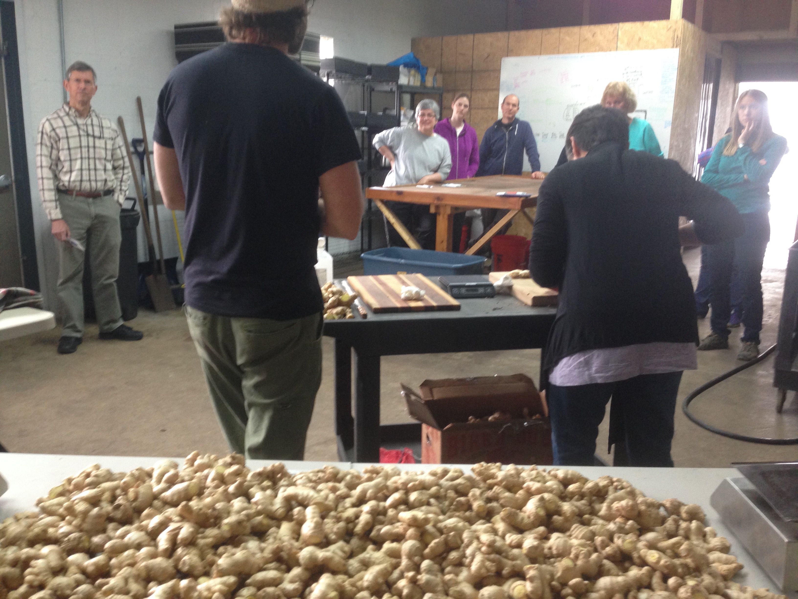 Learning to Grow Ginger in Central Ohio | Over the Fence Urban Farm